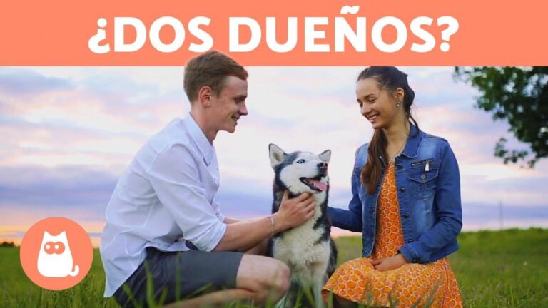 Un perro puede pertenecer a dos dueños - Caludia Manas
